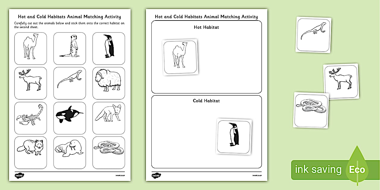 Editable Hot and Cold Habitats Animal Sorting Worksheet