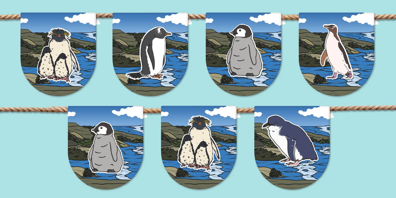 Penguin Themed Display Bunting (teacher made) - Twinkl