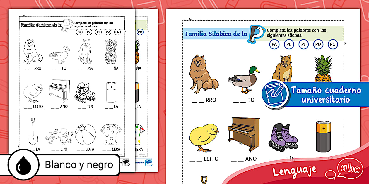 Sílaba Final Lenguaje Familia de Palabras - Twinkl