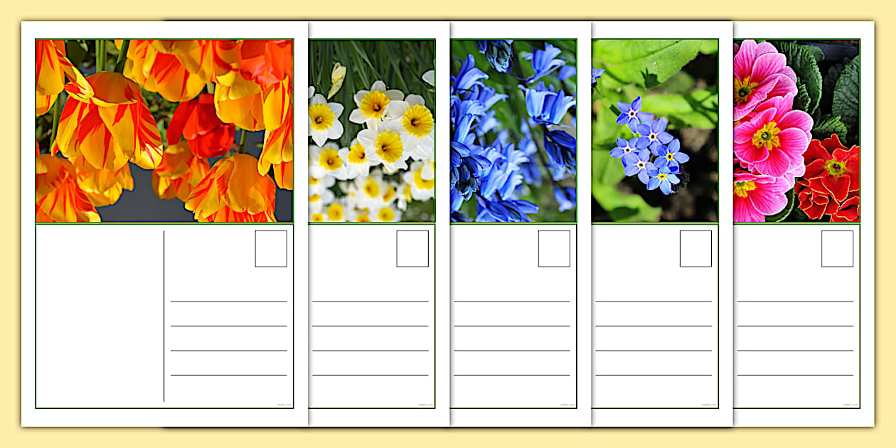 Spring Flower Postcards - KS2 (teacher made) - Twinkl