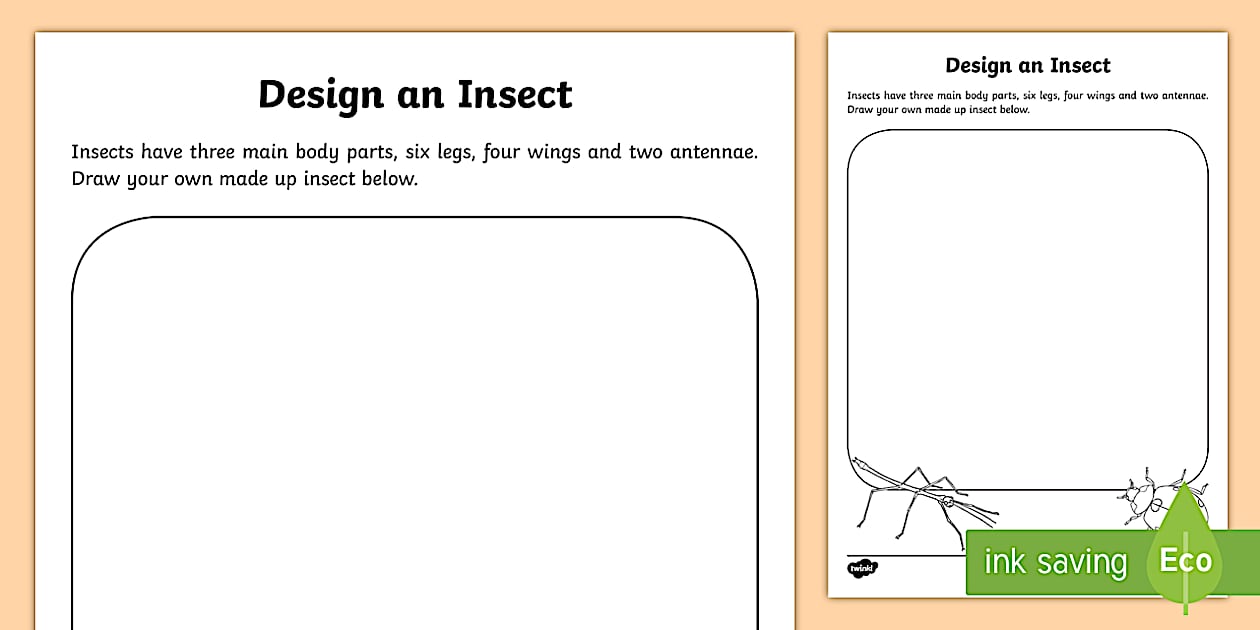 Draw Your Own Insect Worksheet / Worksheet (teacher made)