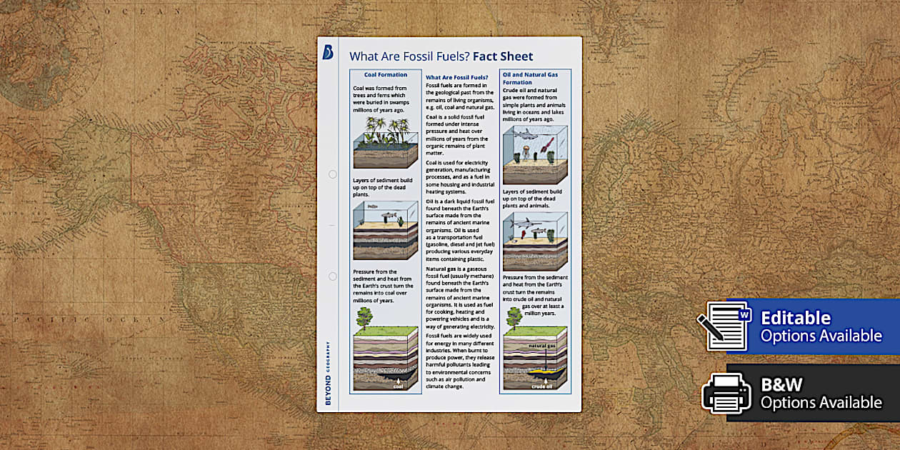 What Are Fossil Fuels? Fact Sheet (professor feito) - Twinkl