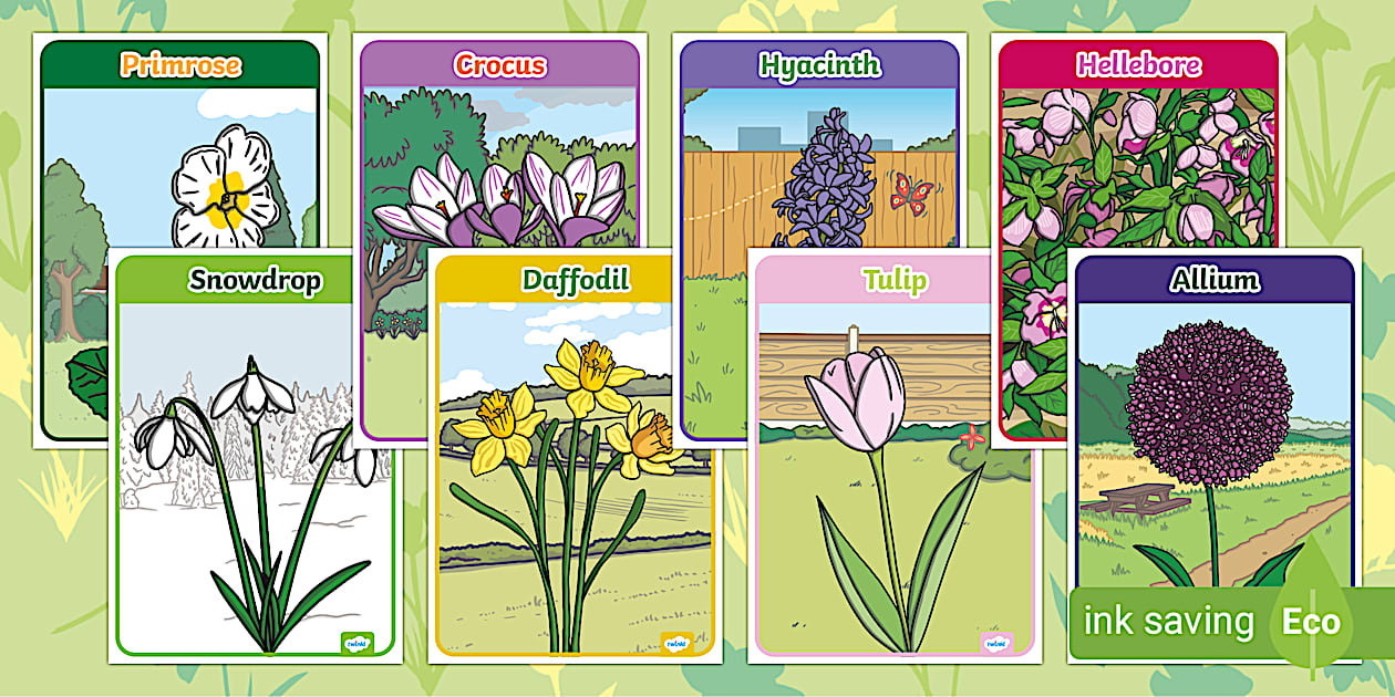 Spring Garden Flowers Display Posters to discuss Spring time