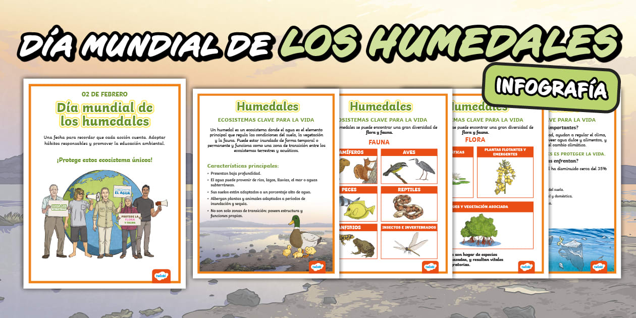 Infografía sobre ecosistemas: Humedales