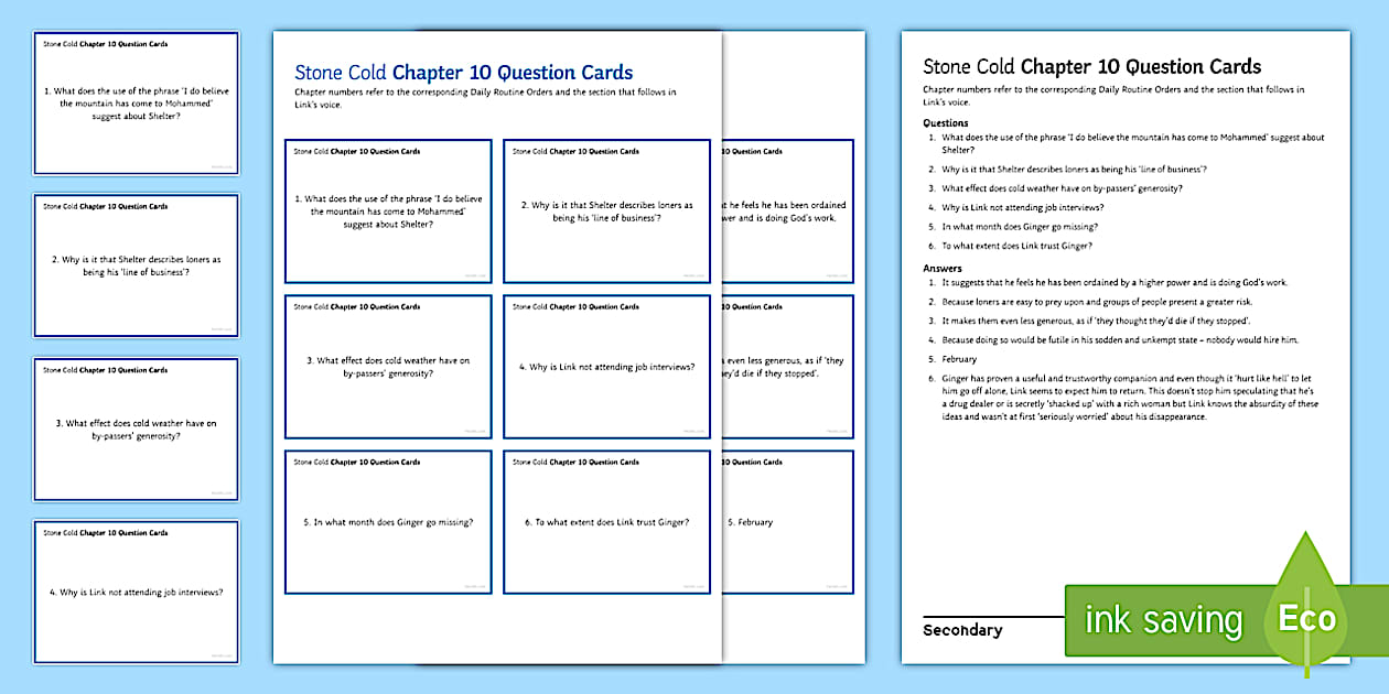 Chapter 10 Question Cards to Support Teaching on 'Stone Cold' by Robert
