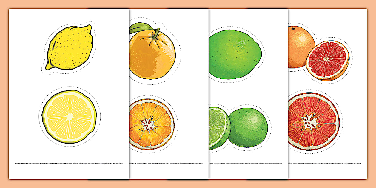 Citrus Display Cut-Outs (teacher made) - Twinkl