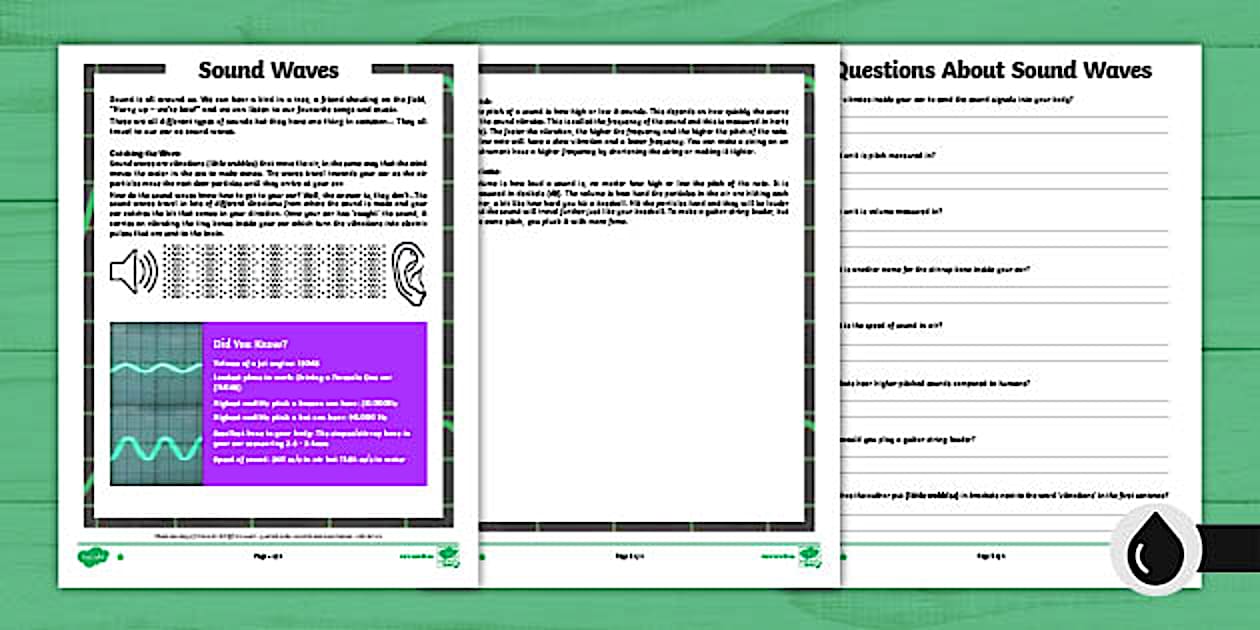 Sound Waves Differentiated Reading Comprehension Activity