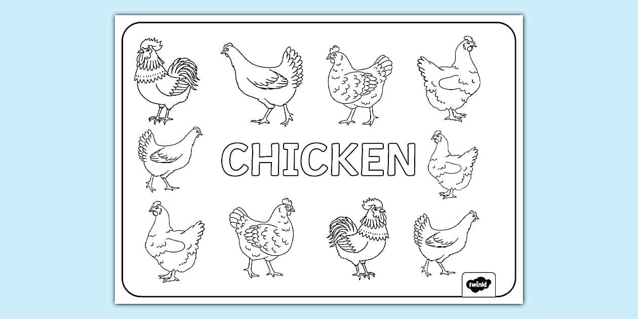 Chicken Doodle Colouring Page (Teacher-Made) - Twinkl
