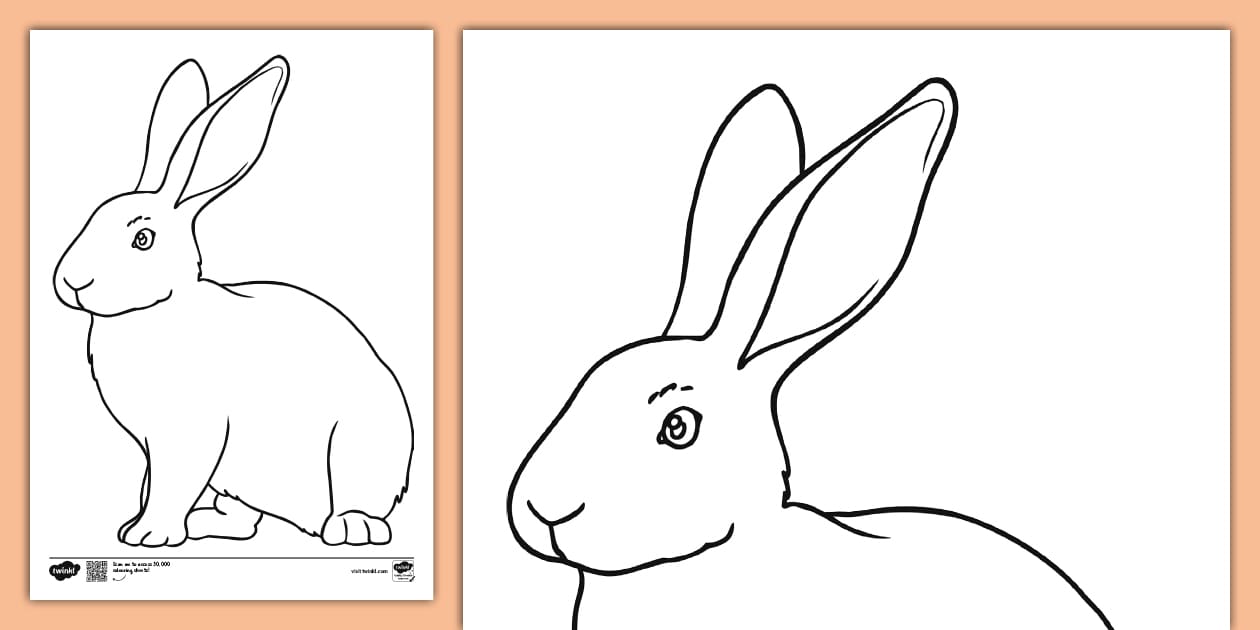 Rabbit Colouring Page for Children | Colouring Sheets