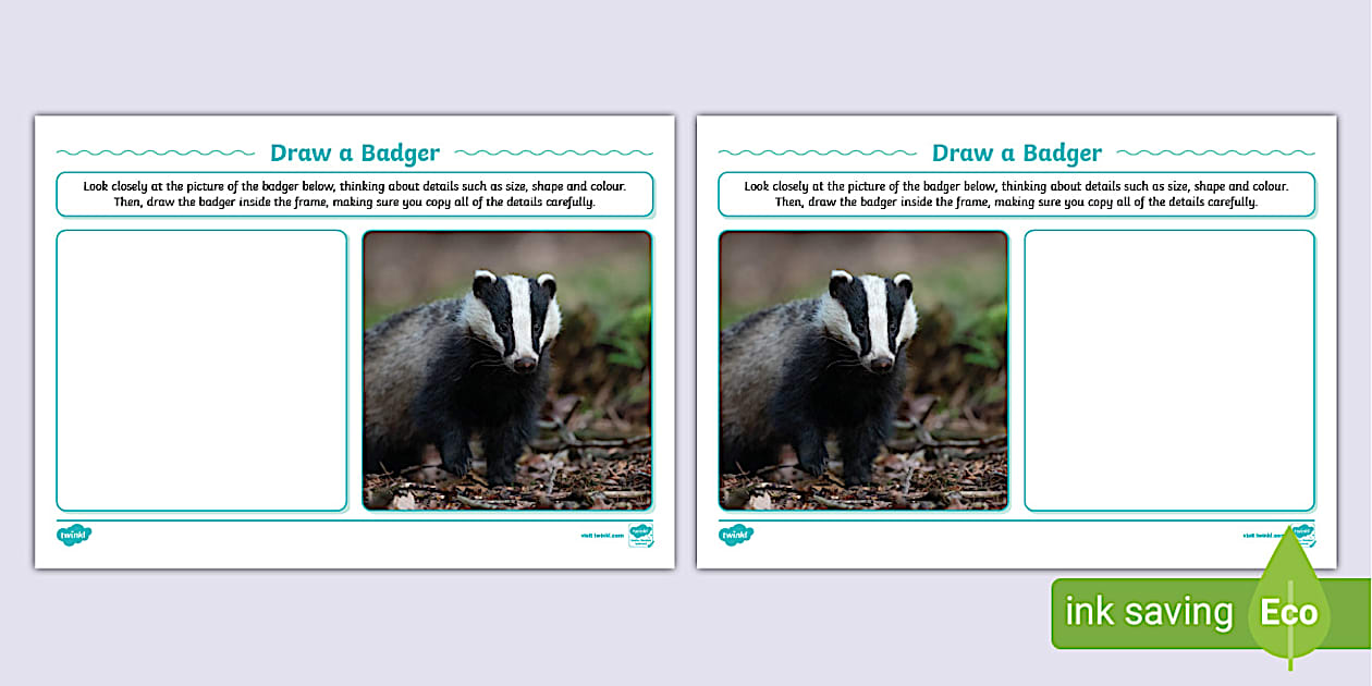 Draw a Badger Art Activity (Teacher-Made) - Twinkl