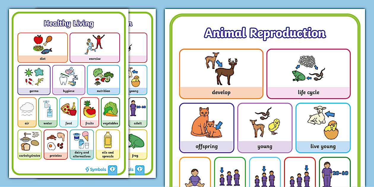 Twinkl Symbols: Science: Vocabulary Mat (teacher made)