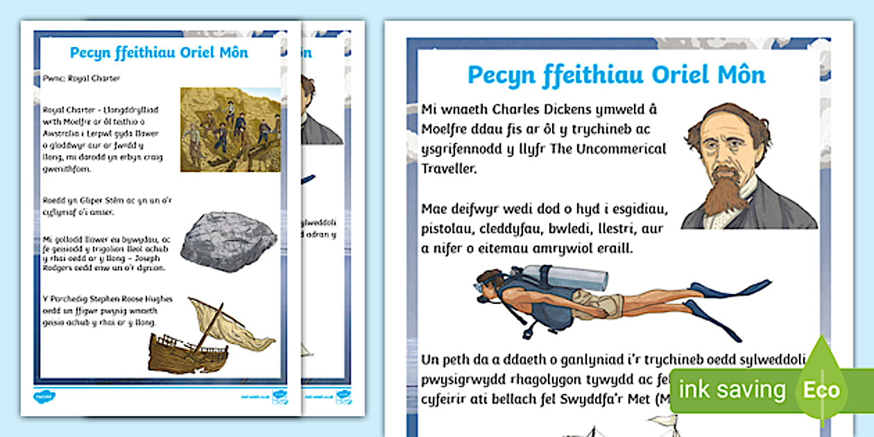 Oriel Môn Fact File Activity - Activities - Twinkl