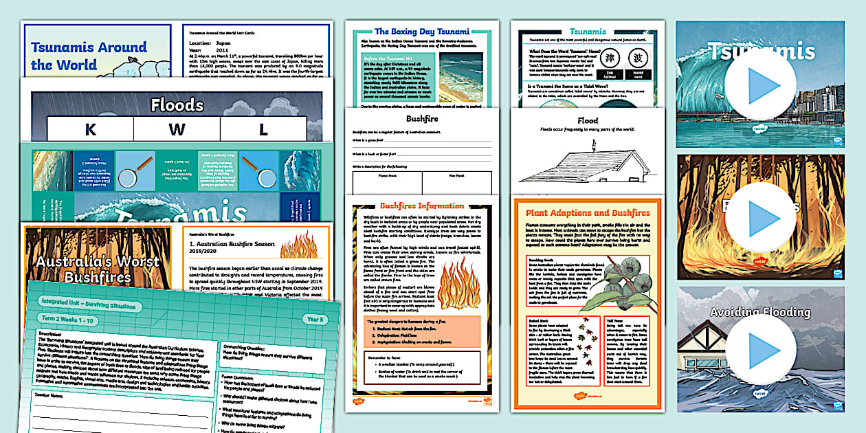 Surviving Situations Year 5 Weeks 3-4 Resource Pack - Twinkl