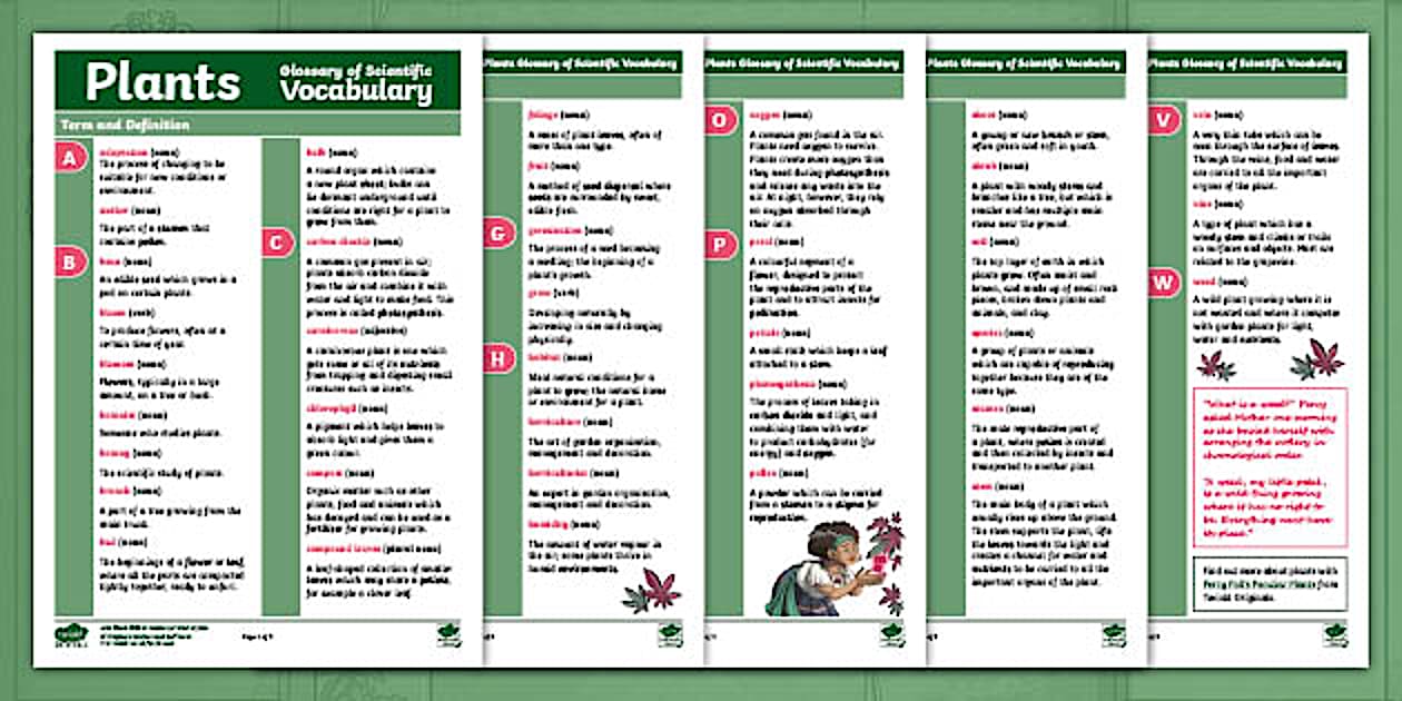 Plants KS2 Glossary | Plant Vocabulary Words | Twinkl