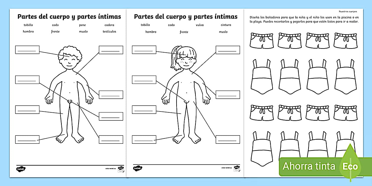 Ficha de actividad: Partes del cuerpo y partes íntimas