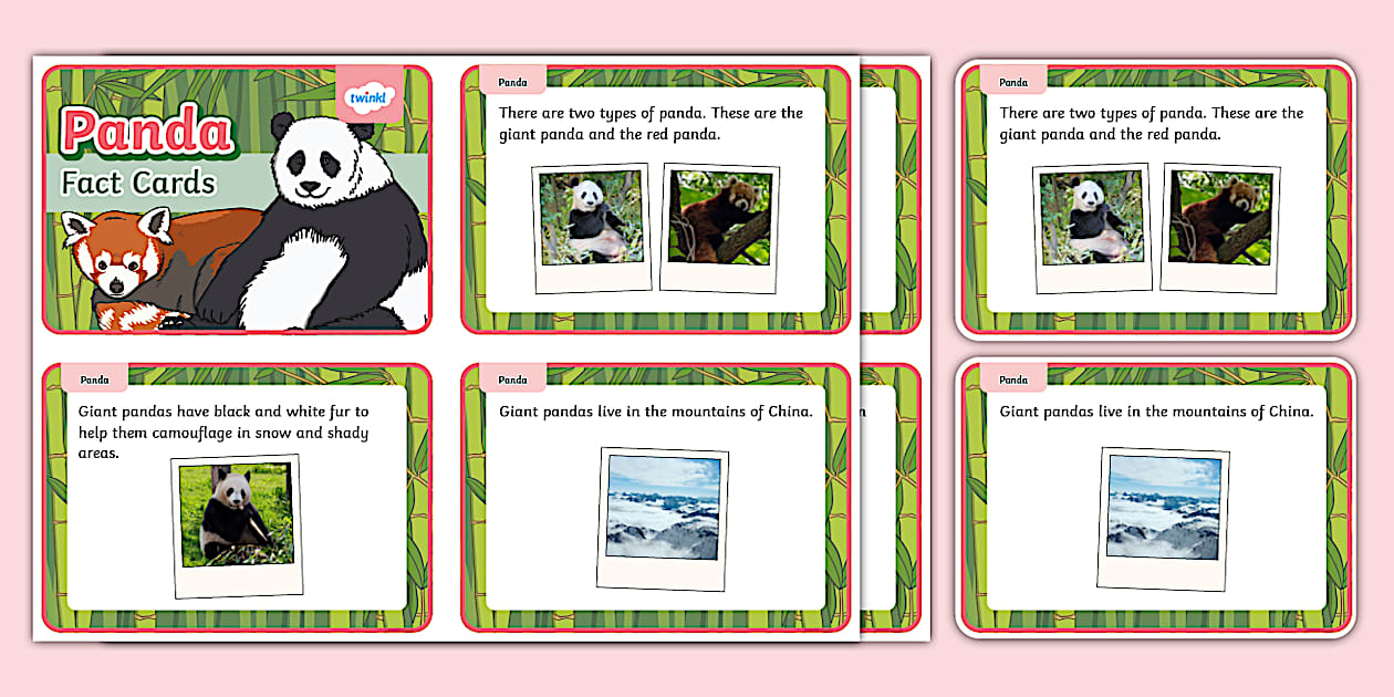 Panda Fact Cards - KS1 - Science - Animals Including Humans