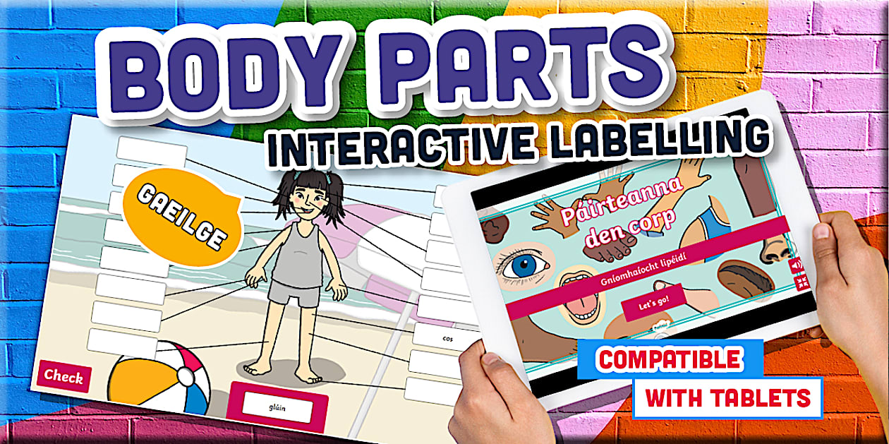 Body Parts Interactive Labelling - Gaeilge