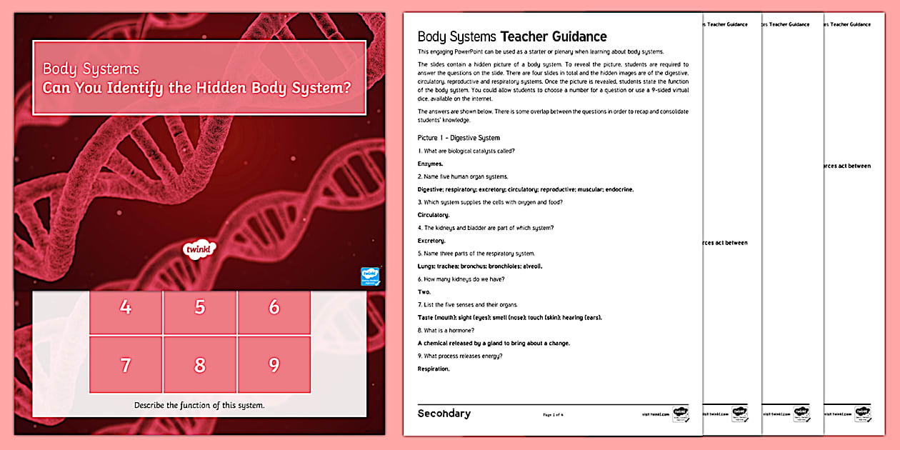 Body Systems Quick Quizzes (teacher made) - Twinkl