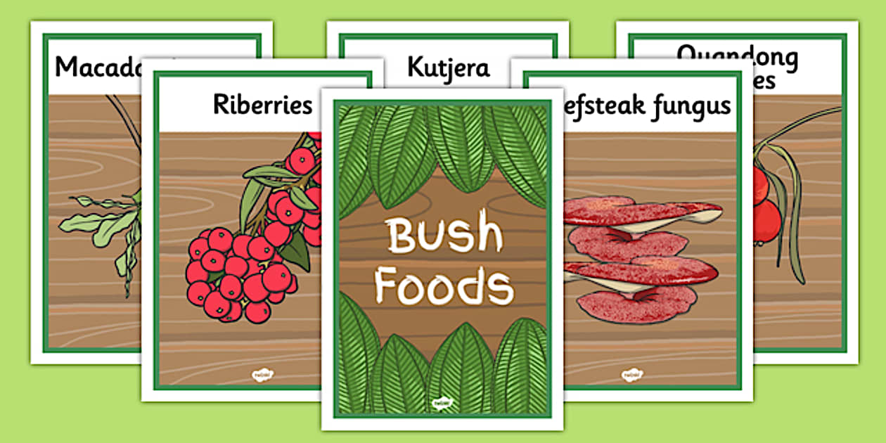 Editable Bush Foods Display Posters (teacher made) - Twinkl