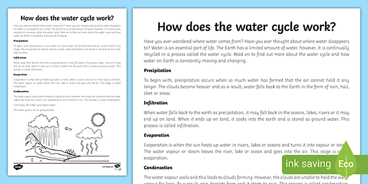 Editable The Water Cycle Worksheet - Twinkl
