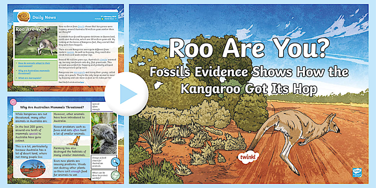 LKS2 Kangaroo Evolution Daily News PowerPoint - Twinkl