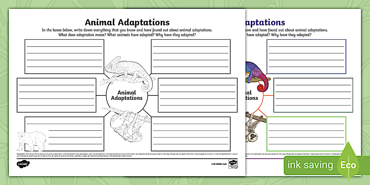 Animal Adaptations Mind Map (professor feito) - Twinkl