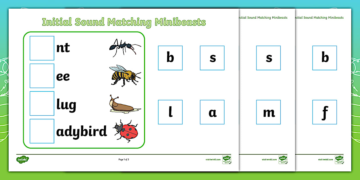 Initial Sound Matching Minibeasts Workstation Pack - Twinkl