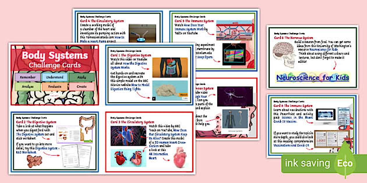 Editable Body Systems Challenge Cards (teacher made)