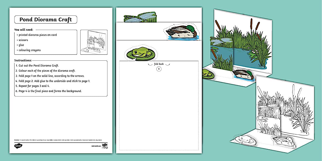 Pond Diorama Craft - Twinkl - KS1