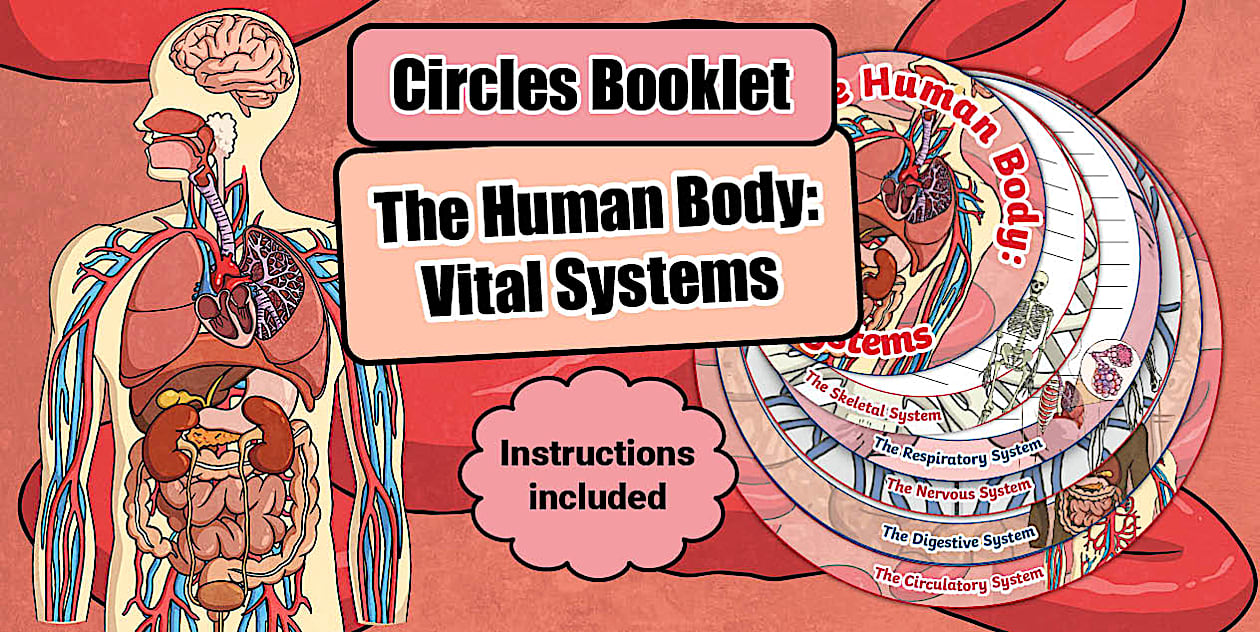 The Human Body: Vital Systems Circles Booklet