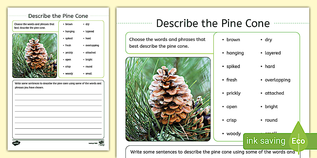 Describe the Pine Cone Worksheet (teacher made) - Twinkl