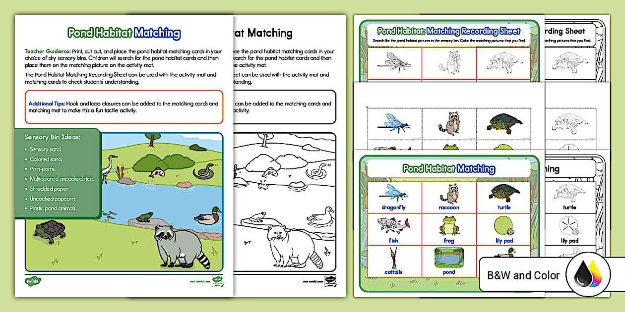 Pond Habitat Sensory Bin Matching Activity Mat - Twinkl