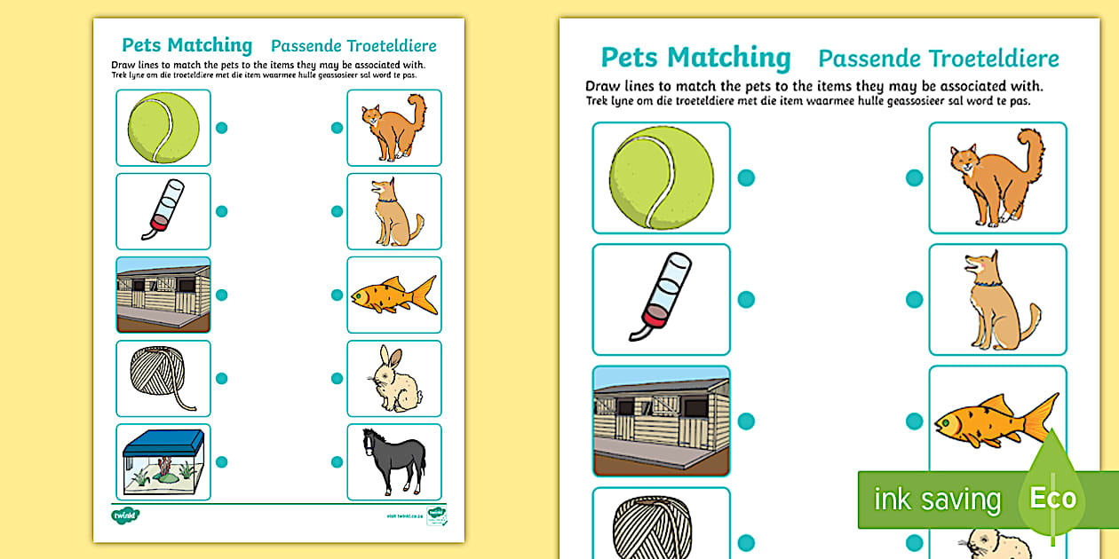 Black and White Pets Matching Activity English/Afrikaans