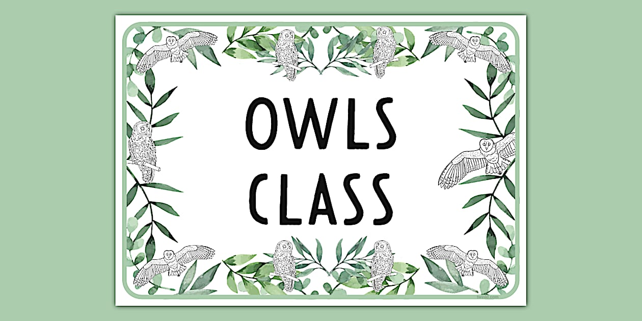 Muted Botanical Themed Owls Class Display Poster - Twinkl