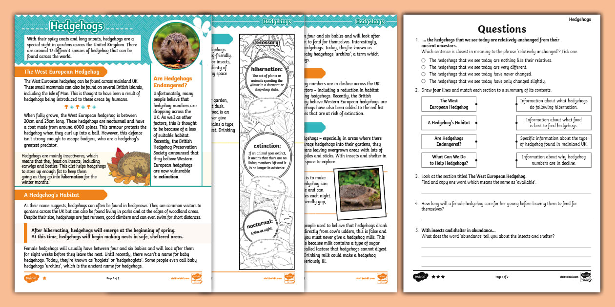 UKS2 Hedgehogs Differentiated Reading Comprehension Activity