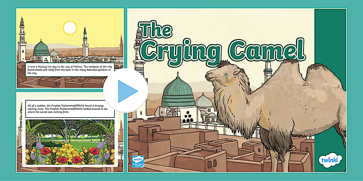 The Crying Camel KS2 PowerPoint (teacher made) - Twinkl