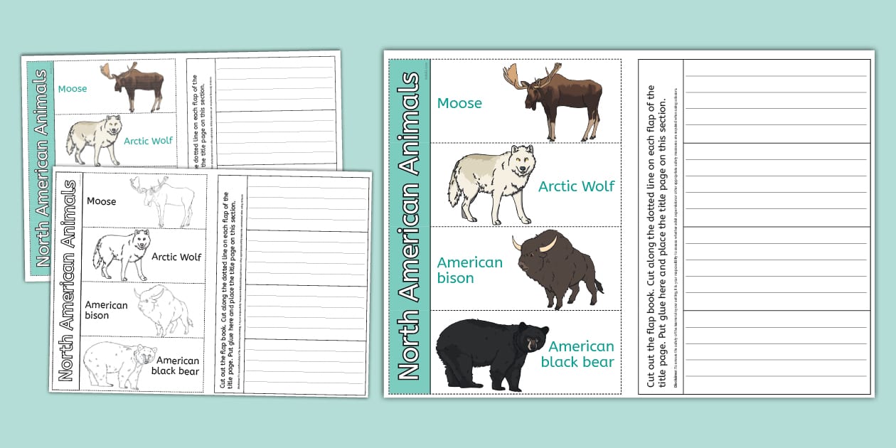 North American Animals Flap Book (teacher made) - Twinkl
