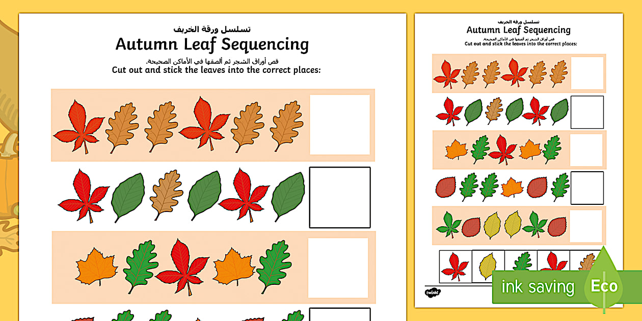 Autumn Leaf Sequencing Worksheet / Worksheet - Arabic/English - Autumn Leaf