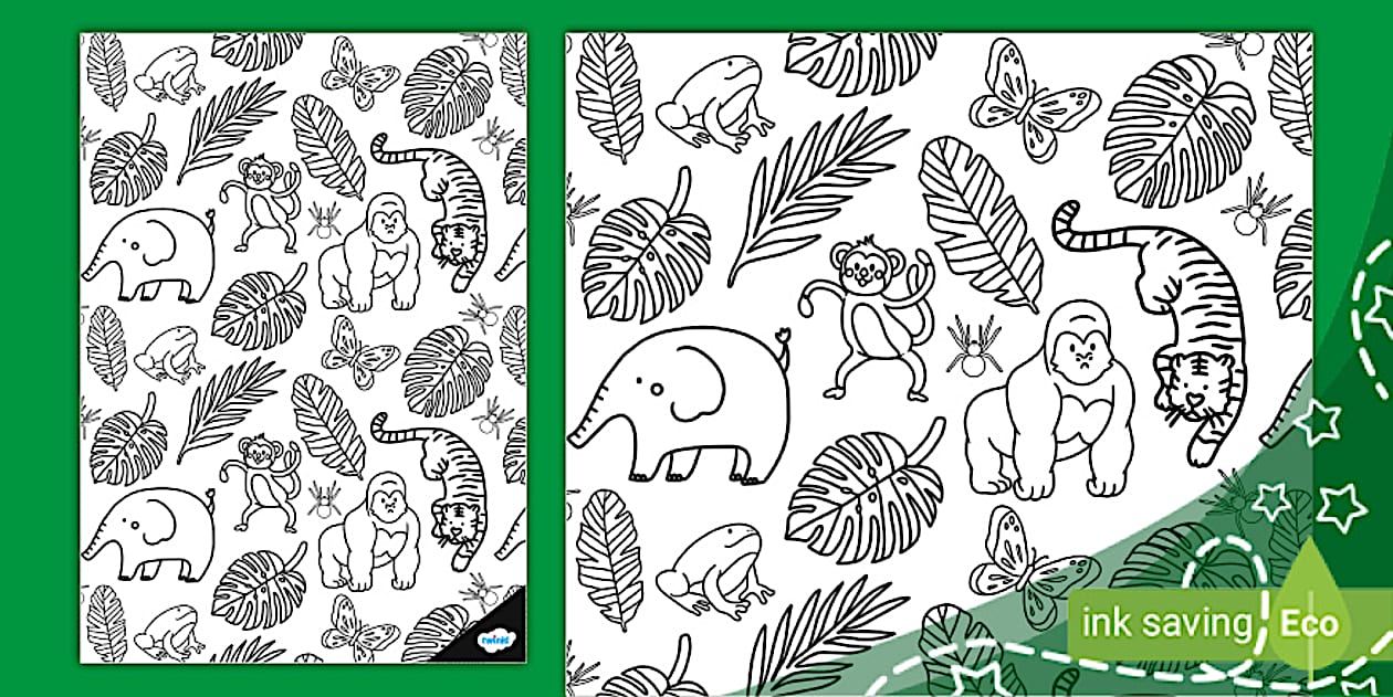 Jungle Doodle Page (teacher made) - Twinkl