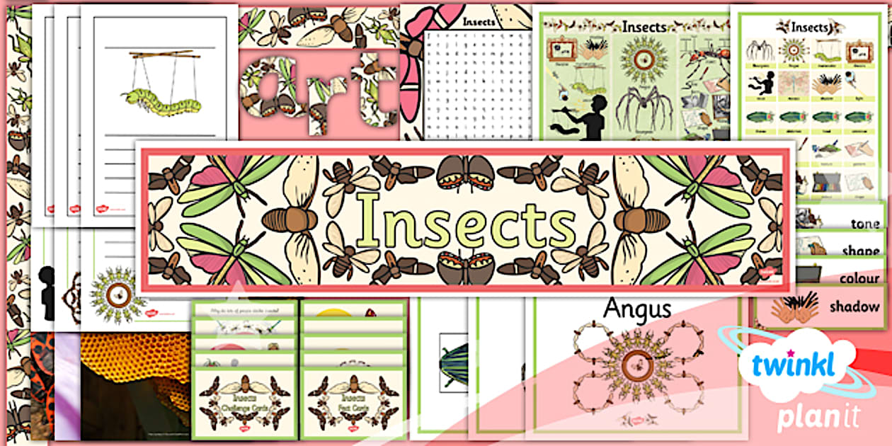 Art: Insects LKS2 Unit Additional Resources - Twinkl