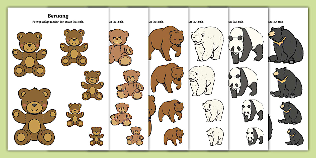 Pengalaman Pranombor - Susun Ikut Saiz -Tema Beruang