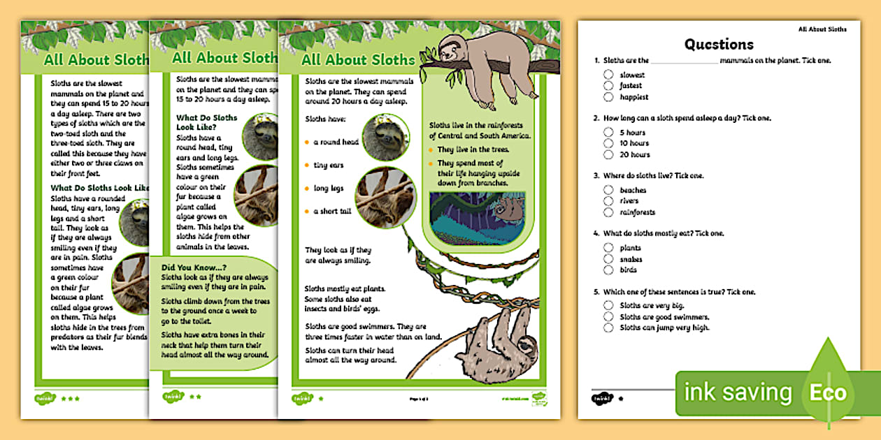 KS1 All About Sloths Differentiated Reading Comprehension Activity