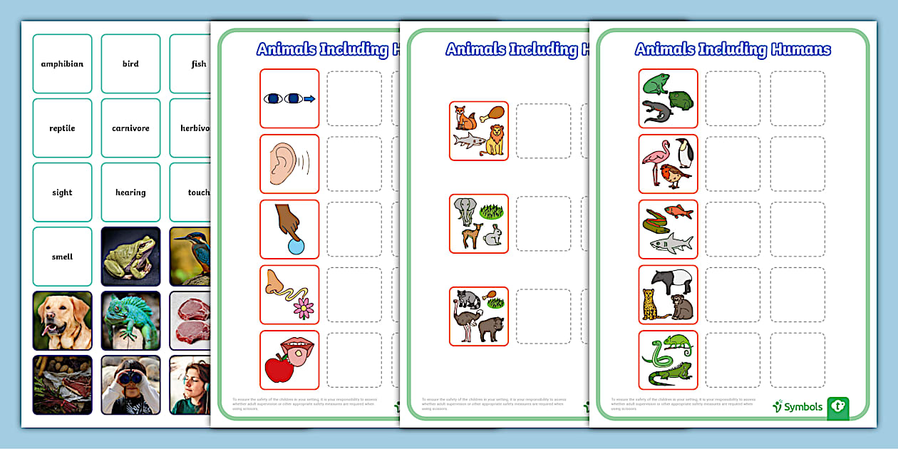 Twinkl Symbols: Animals Including Humans Key Word Matching