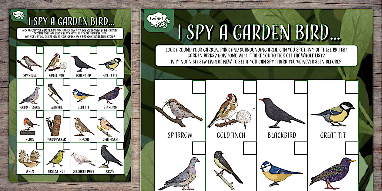 A Brilliant Game Of Garedn I Spy (teacher made) - Twinkl