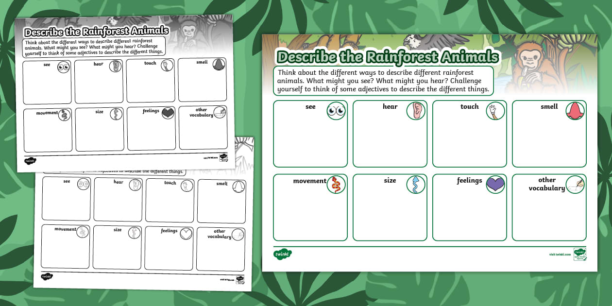 Rainforest Animals Adjectives Worksheet - Twinkl