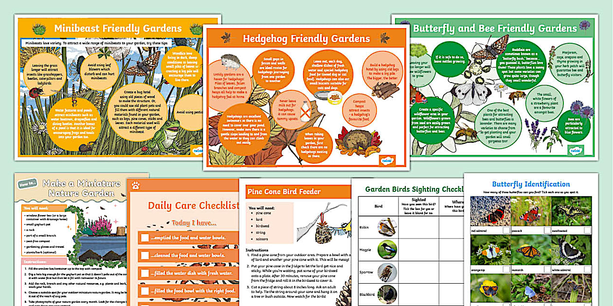 Wildlife Friendly Gardens (teacher made) - Twinkl