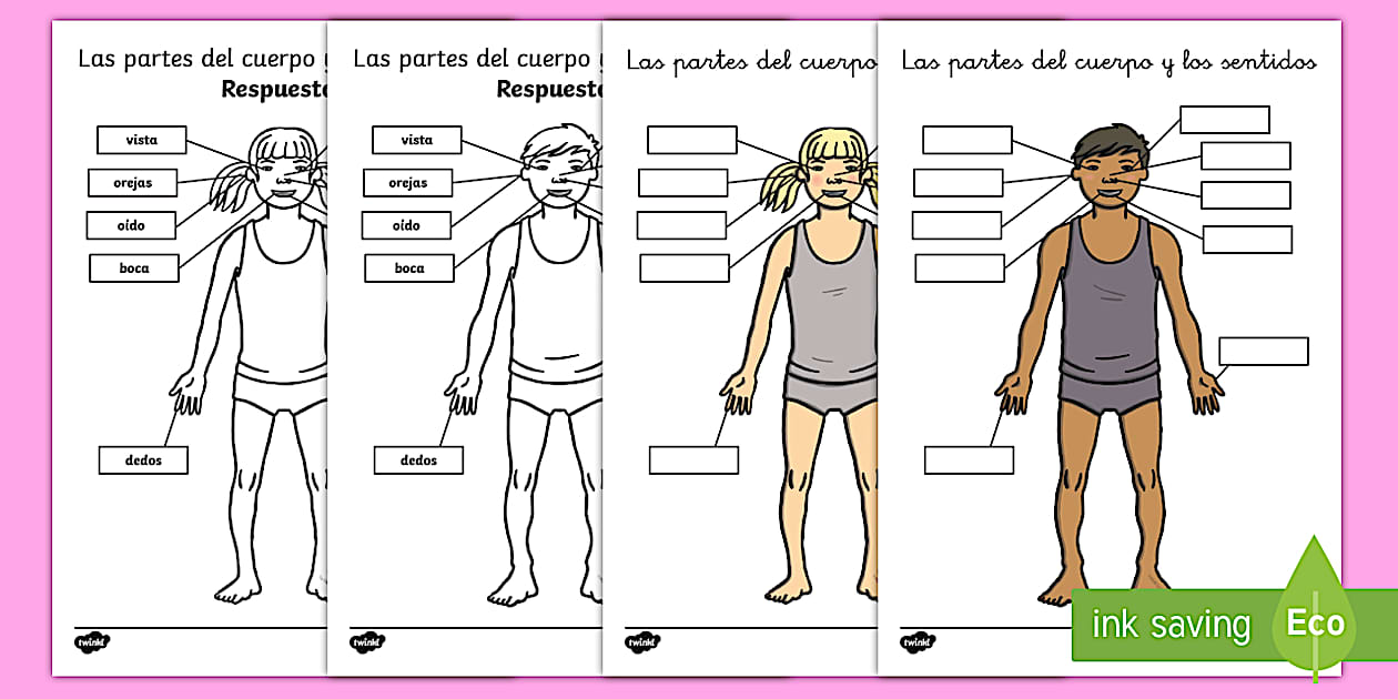 Ficha De Actividad Las Partes Del Cuerpo Y Los Sentidos