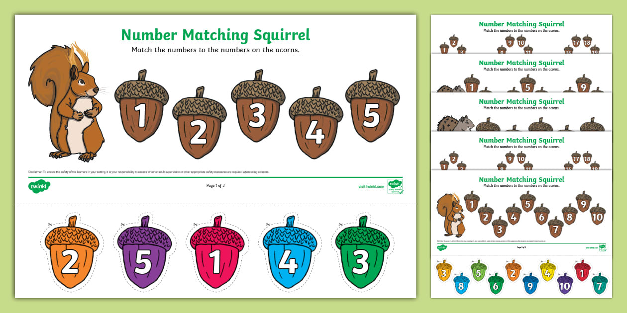 Number Matching Squirrel Activity (Hecho por educadores)