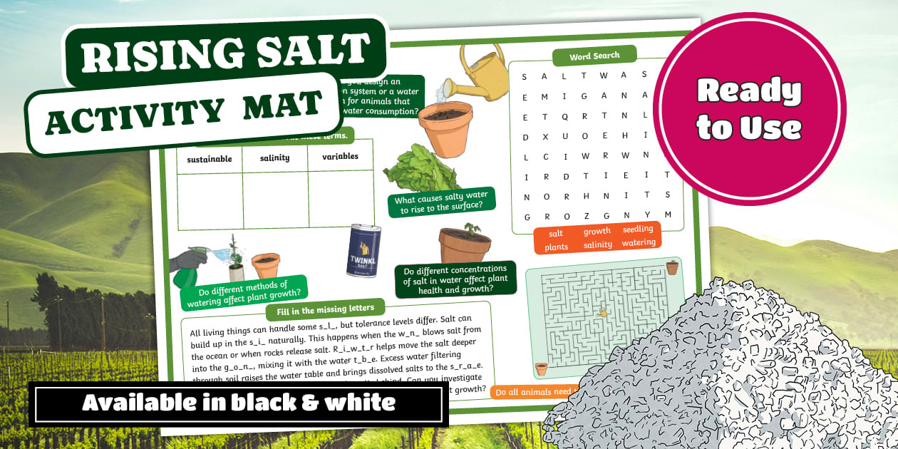 Rising Salt Activity Mat (teacher made) - Twinkl