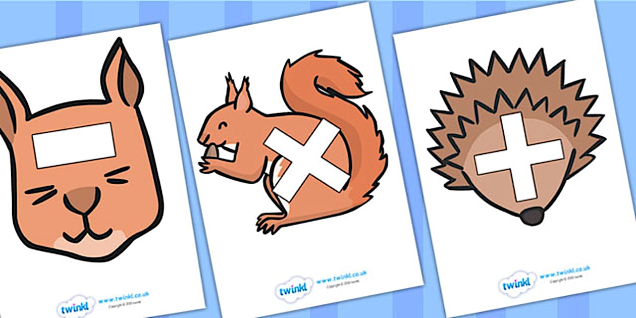 Maths Symbols on Woodland Animals (teacher made) - Twinkl